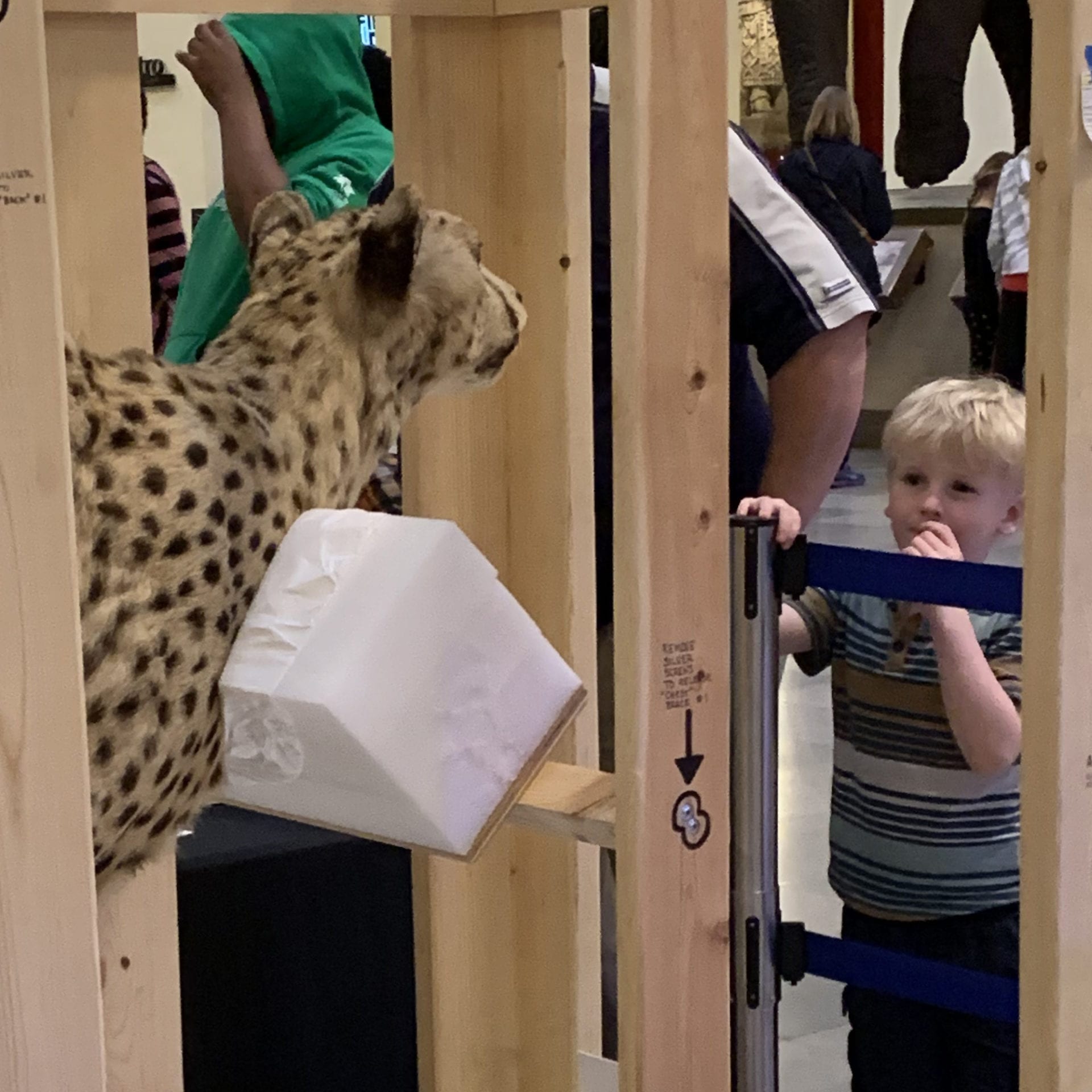 Neon T-Rex: 68th Annual Field Museum Members Night - Country Herald