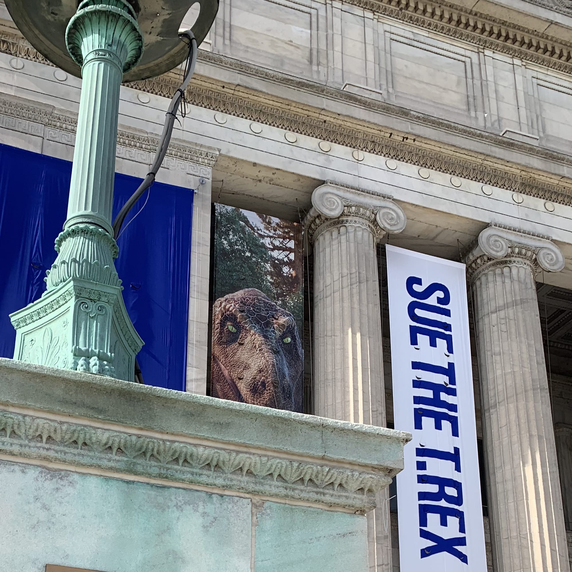 Neon T-Rex: 68th Annual Field Museum Members Night - Country Herald
