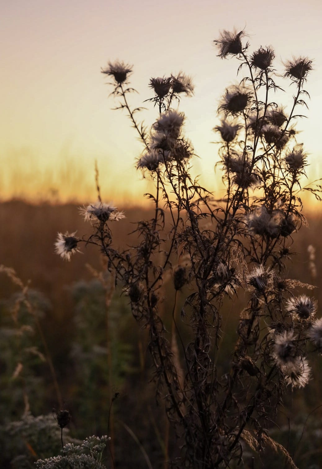 Kankakee Fall Photography Contest Winners - Country Herald