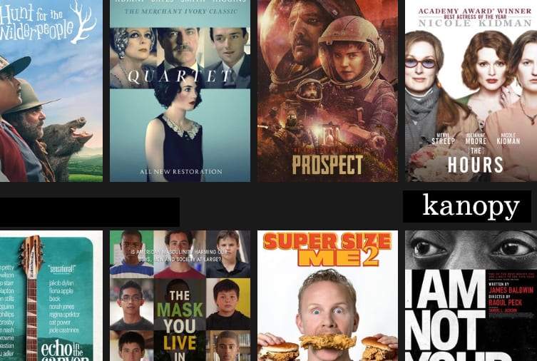 Kankakee Public Library announces new Kanopy program - Country Herald