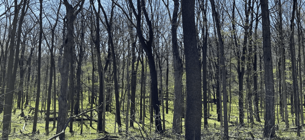 Nearly 14 years later, “Hanging Man” identity remains a mystery ...