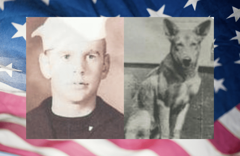 Ray Olley Memorial Project Breaks Ground in Illinois Featuring WWII ...