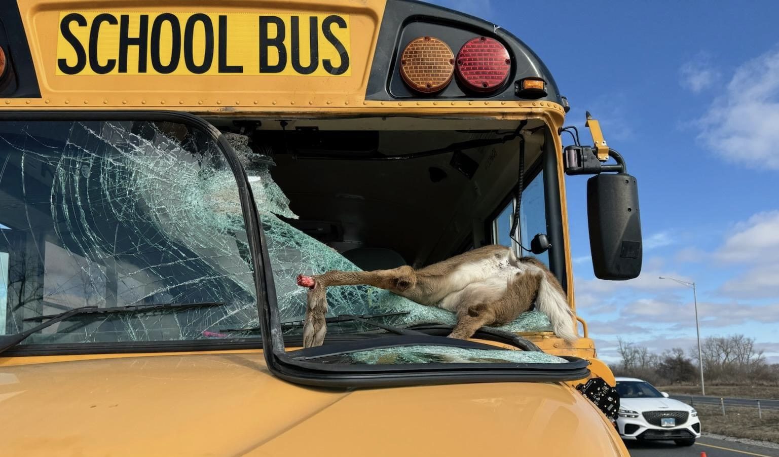 Monee, IL - School Bus, Deer Collision on I-57 near Rest Stop Leaves ...