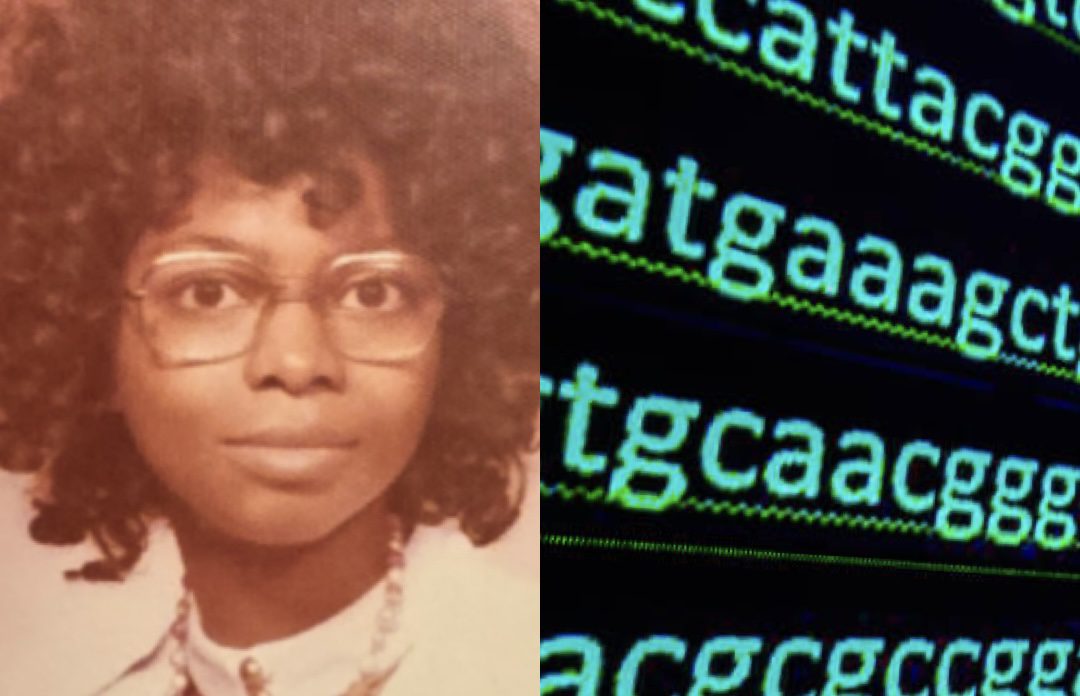 Ohio Woman Identified in Illinois Murder Case Nearly 50 Years Later ...