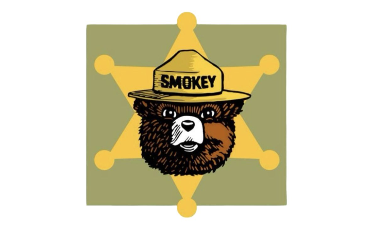 Wilmington, IL - Junior Forest Ranger Program Kicks Off June 12 ...