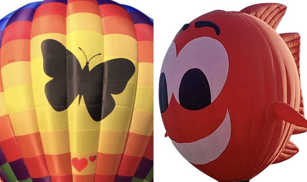 Central Illinois Balloon Wonder: Skies Over Vermilion County Light Up ...